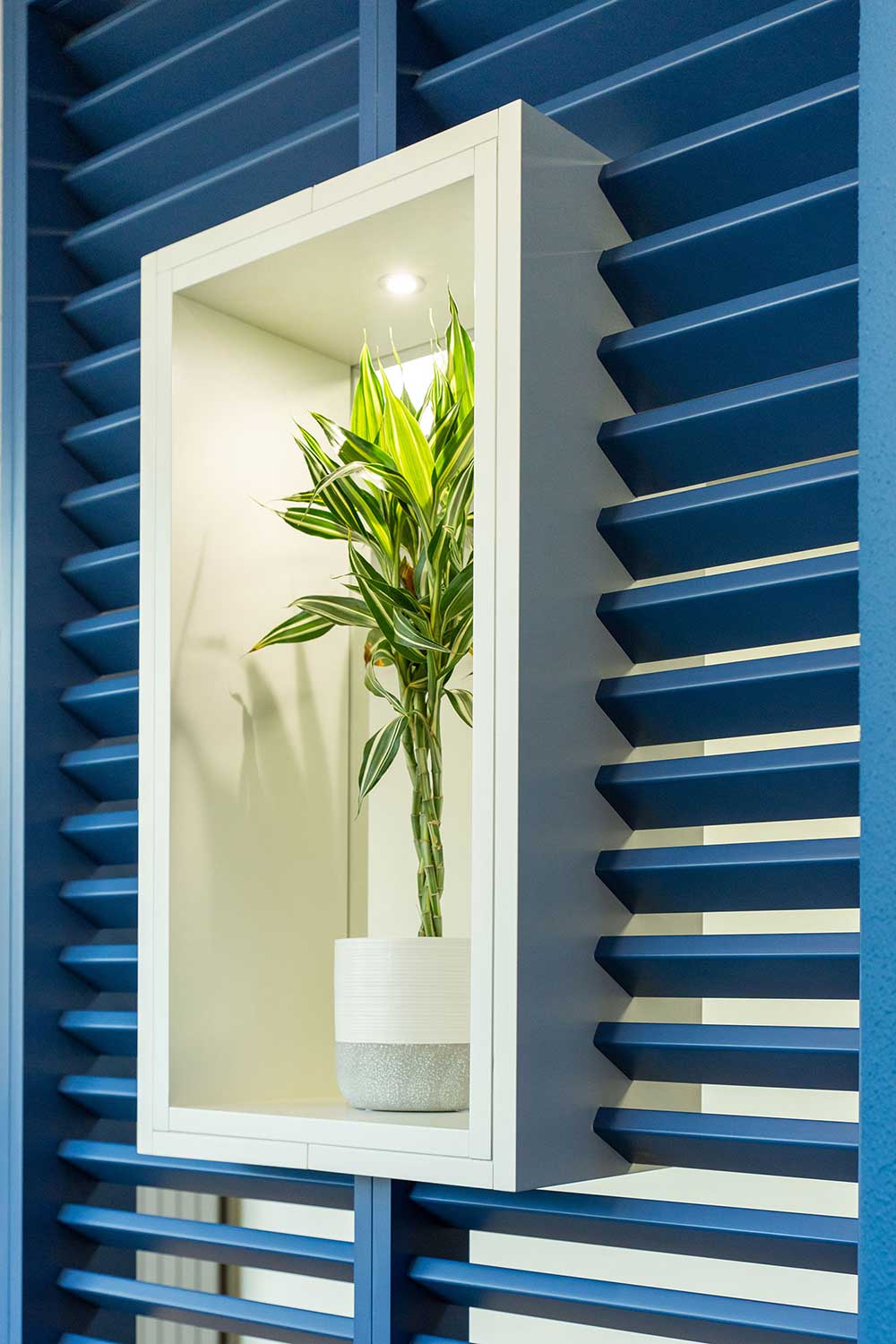 BMP Europe Limited – Office Refresh | BWD Limited